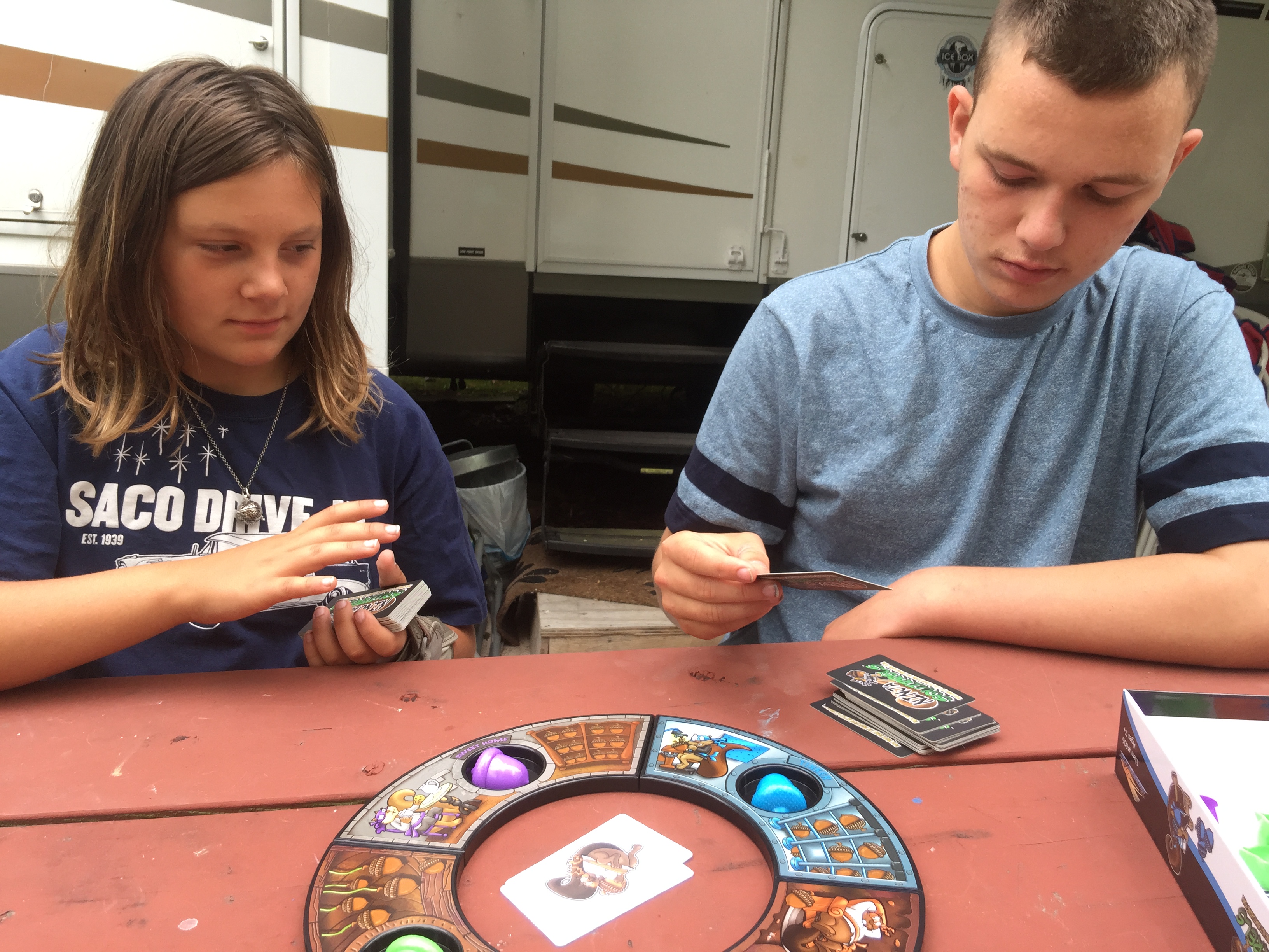 Ninja Squirrels - Color Matching, Nut Snatching Fun #RoosterFinGames ⋆ ...