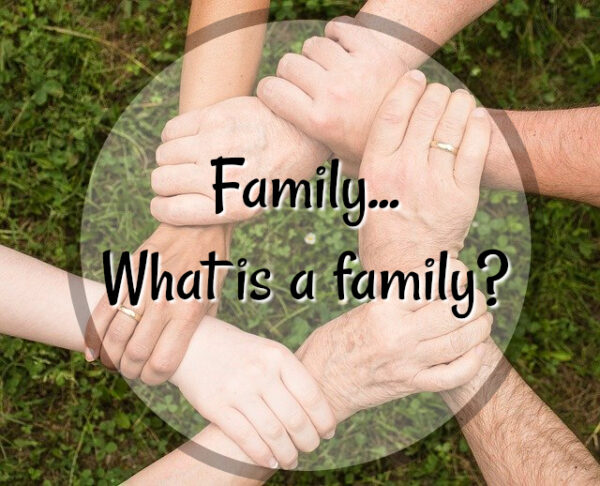 Family... What is a family? ⋆ The Stuff of Success