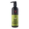 Get To Know Your Hair And Choose The Right Shampoo ⋆ The Stuff of Success