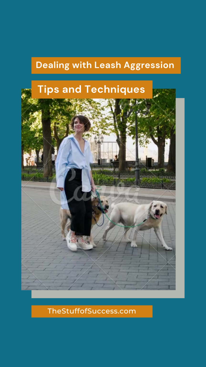 Dealing with Leash Aggression: Tips and Techniques ⋆ The Stuff of Success