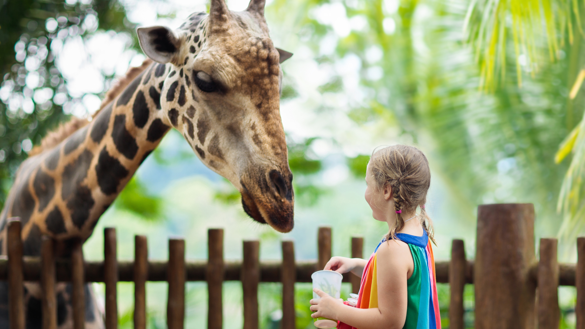 Which Family Attractions Near Chicago Offer the Best Experiences for ...